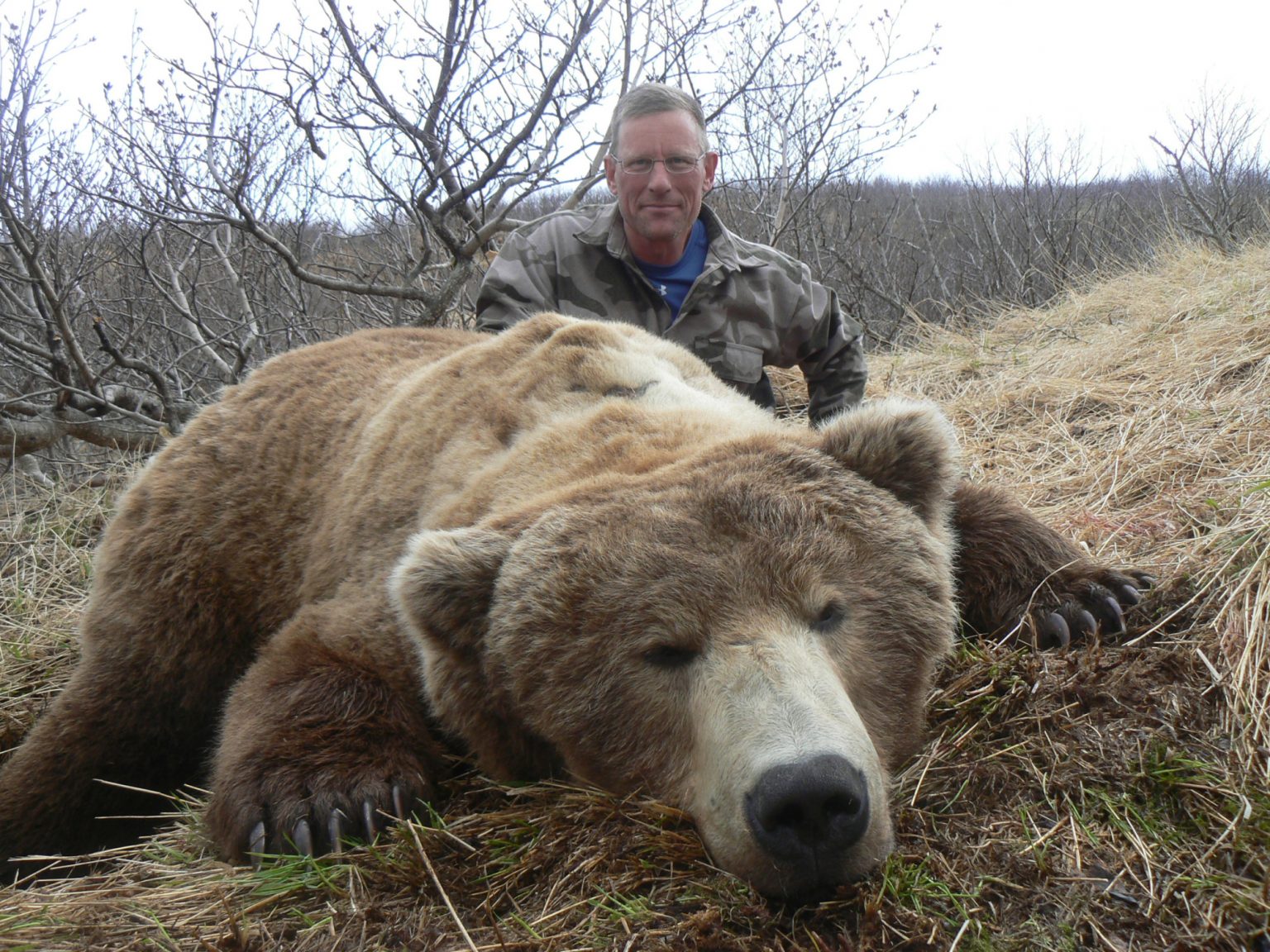 Bear – Grizzly Skins